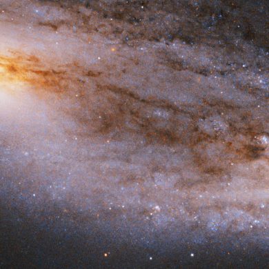 Ashes to ashes, dust to dust: the cosmic fertiliser that fuelled the ...