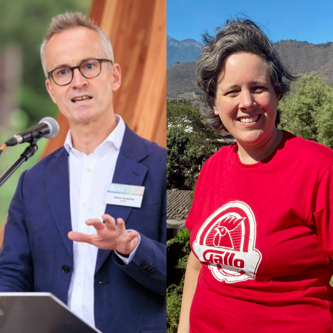Professors Gideon Henderson and Tamsin Mather recognised in 2026 New ...
