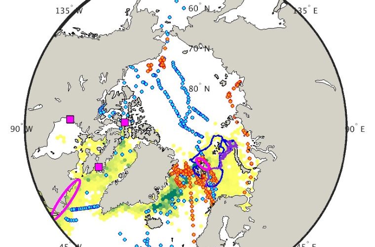 Nutrient dynamics in a changing Arctic Ocean | Department of Earth Sciences